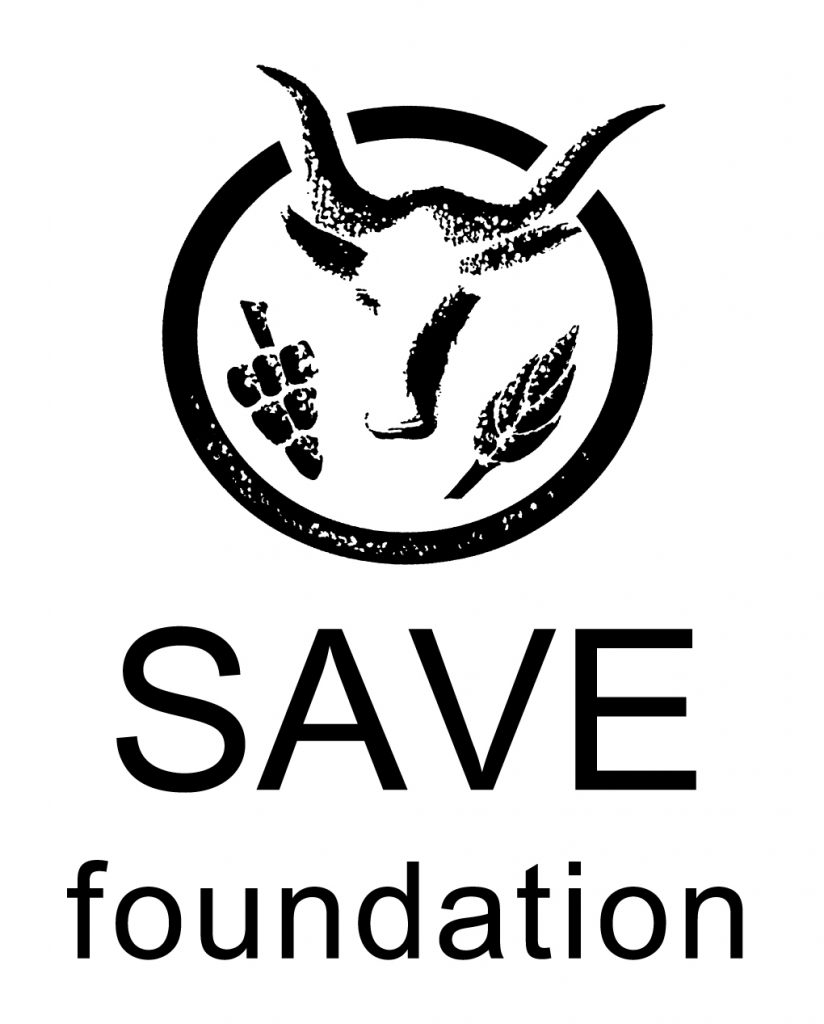 SAVE Foundation - ICH NGO Forum