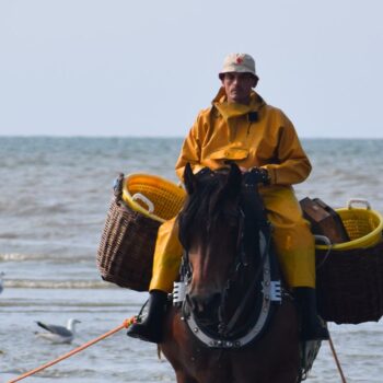 The Uluru-Kata Tjuta National Park - ICH NGO Forum